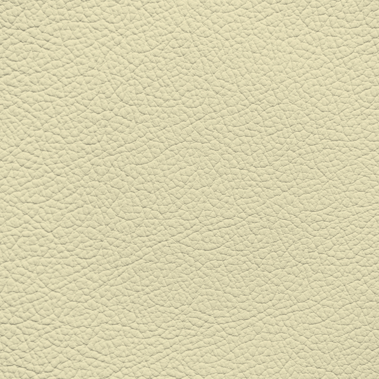 Audi Cream Beige Leather Dye – Leather World Technologies
