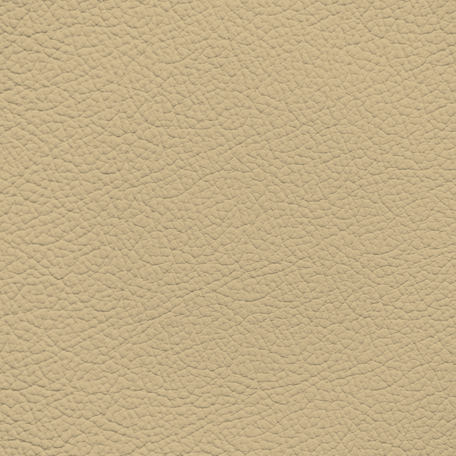Mercedes Creme Beige Leather Dye – Leather World Technologies