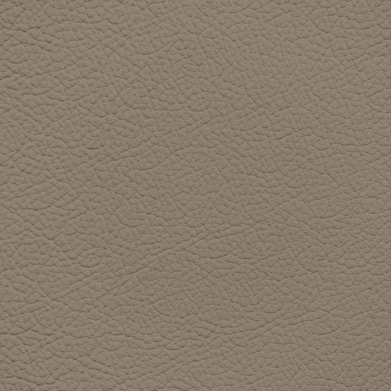 BMW Dark Tan Leather Dye – Leather World Technologies