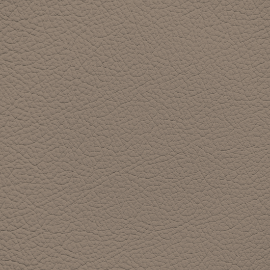 BMW Dark Tan Leather Dye – Leather World Technologies