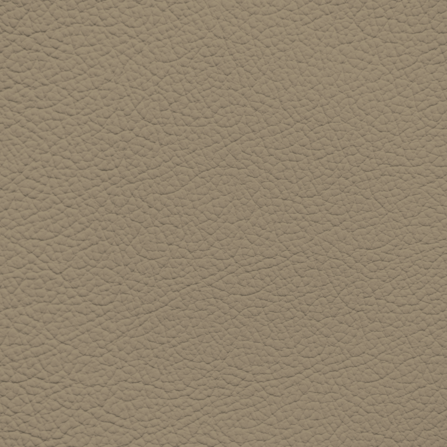 Acura/Honda Dark Ivory Leather Dye – Leather World Technologies
