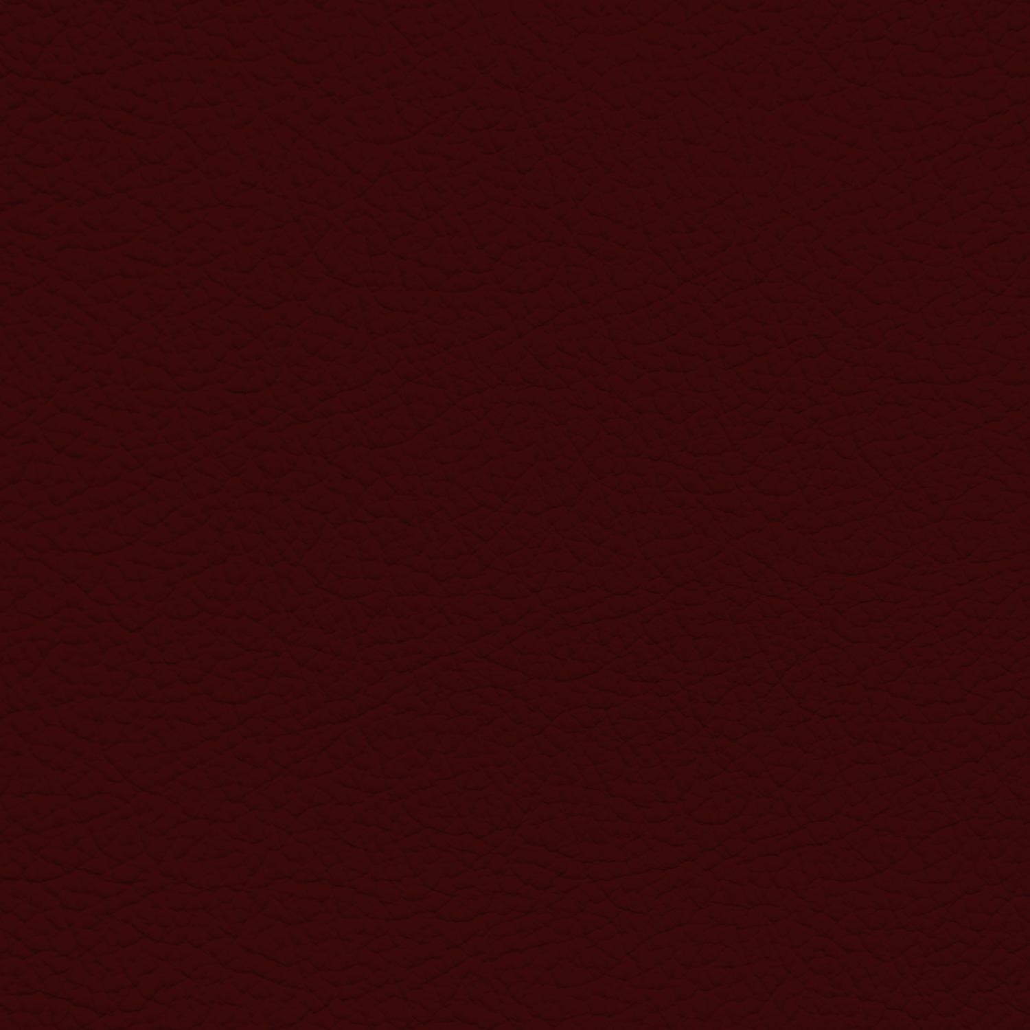 Volkswagen Deep Red Leather Dye – Leather World Technologies