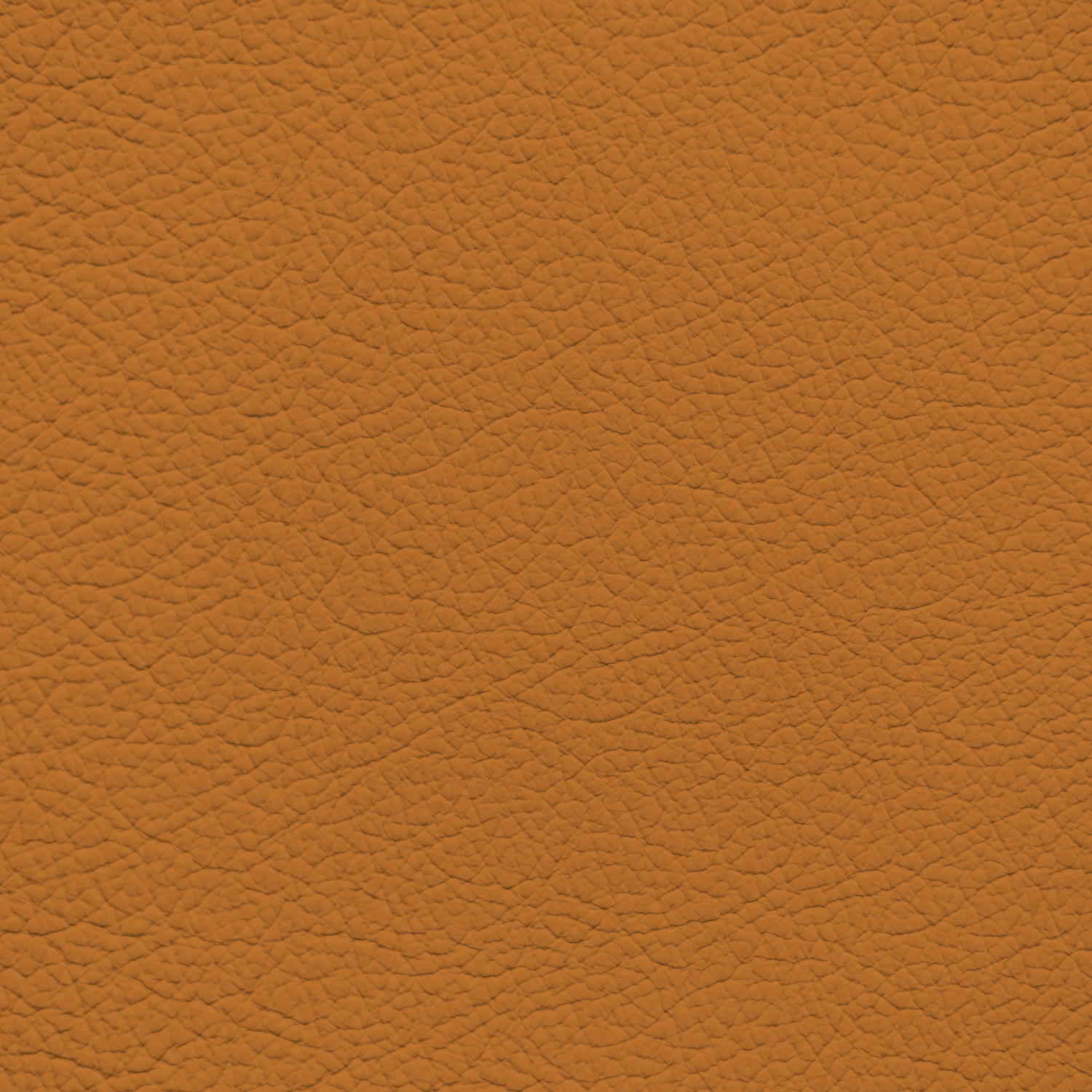 BMW E-Copper Leather Dye – Leather World Technologies