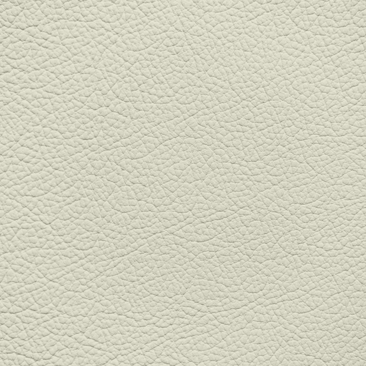 Nissan Eggshell Leather Dye – Leather World Technologies