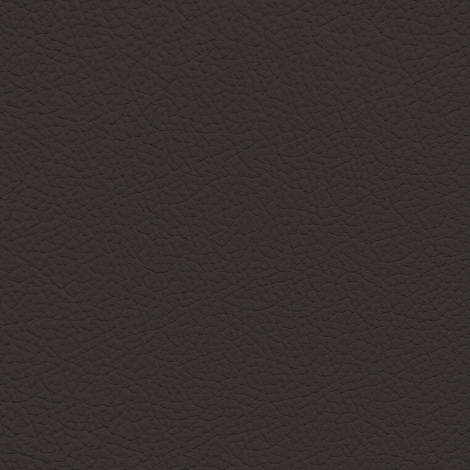 Ford/Lincoln/Mercury Espresso Leather Dye – Leather World Technologies