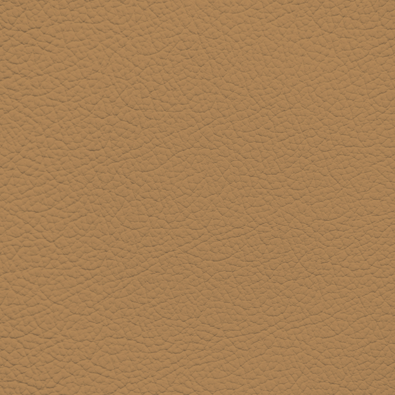 Rolls Royce/Ferrari Fawn Leather Dye – Leather World Technologies