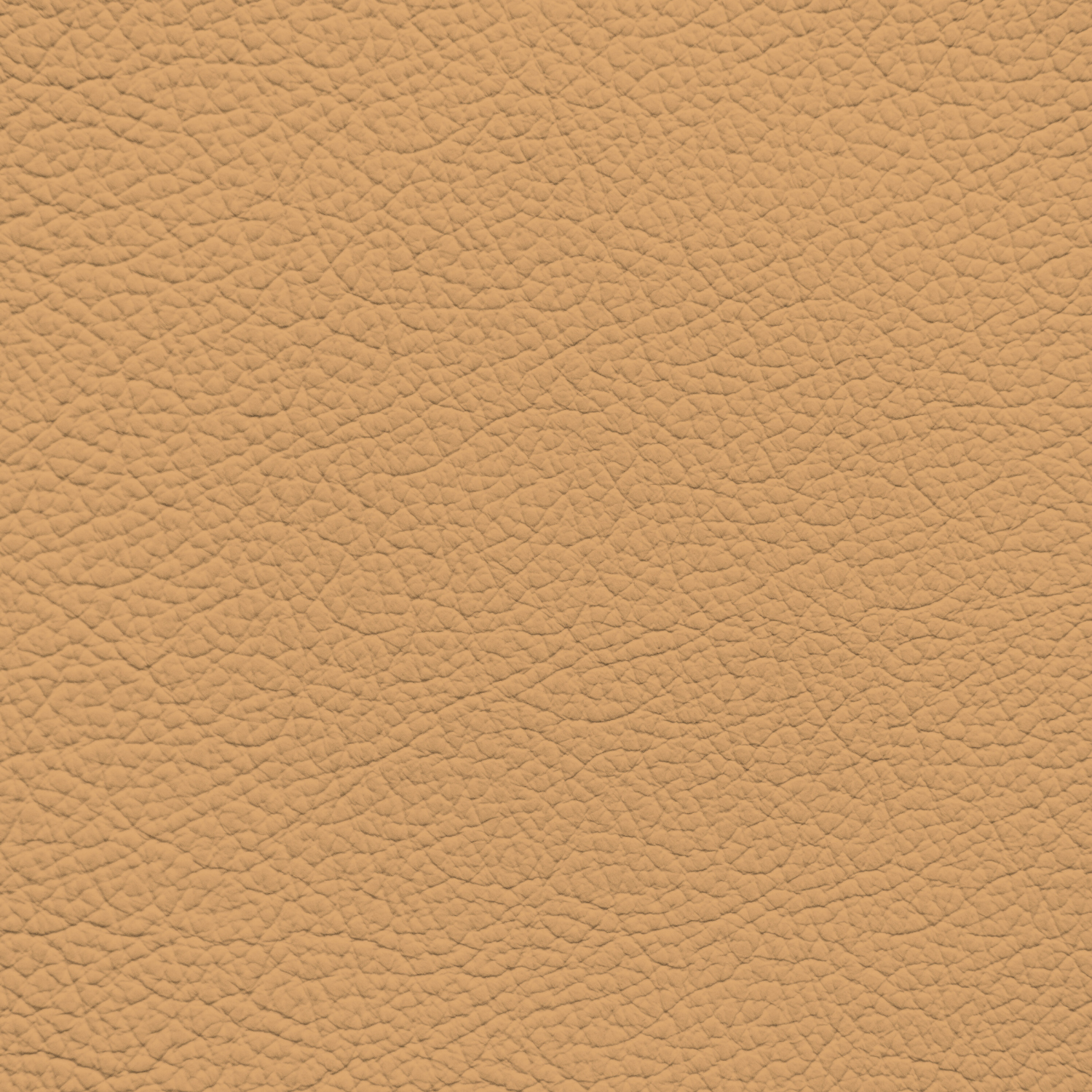 Ferrari Beige Leather Dye – Leather World Technologies
