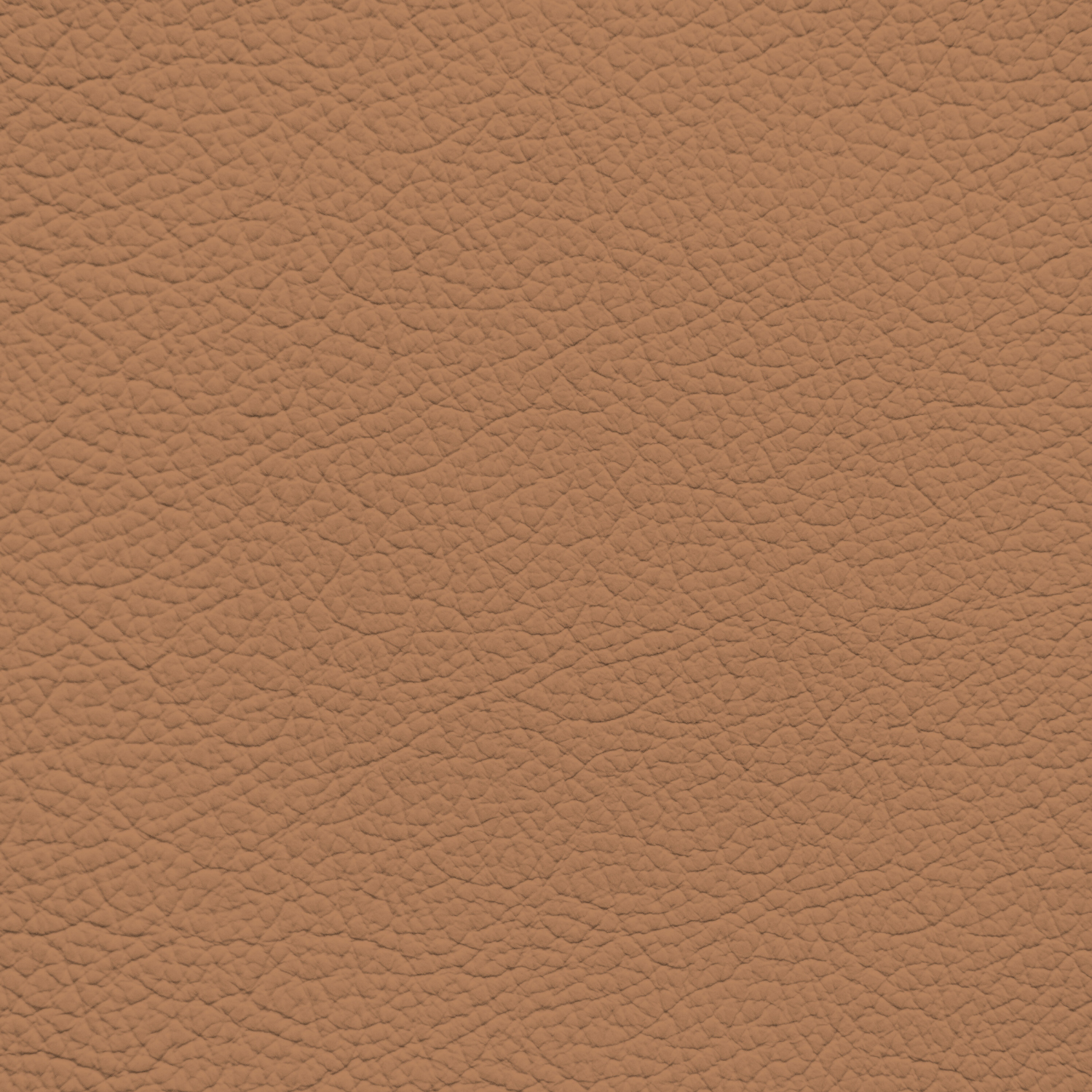 Genesis Camel Leather Dye – Leather World Technologies
