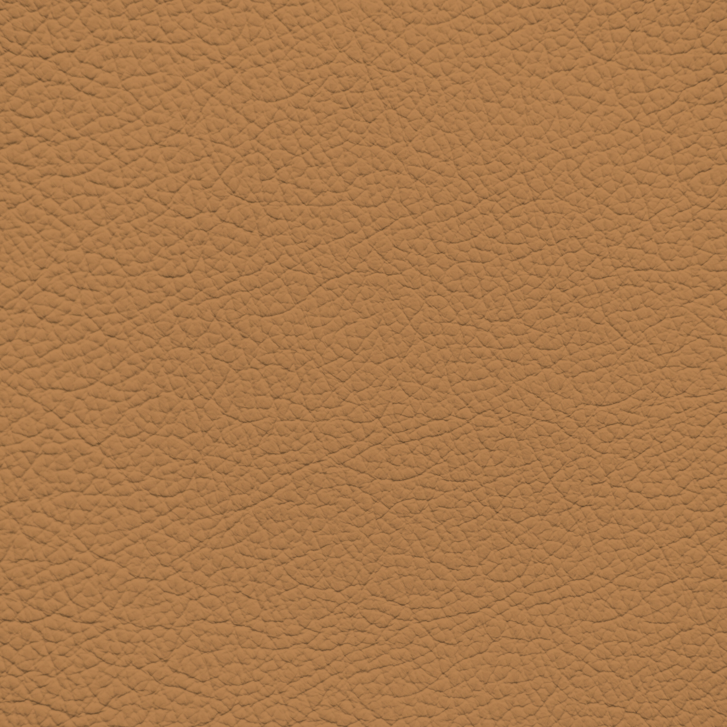 BMW Golden Brown Leather Dye – Leather World Technologies