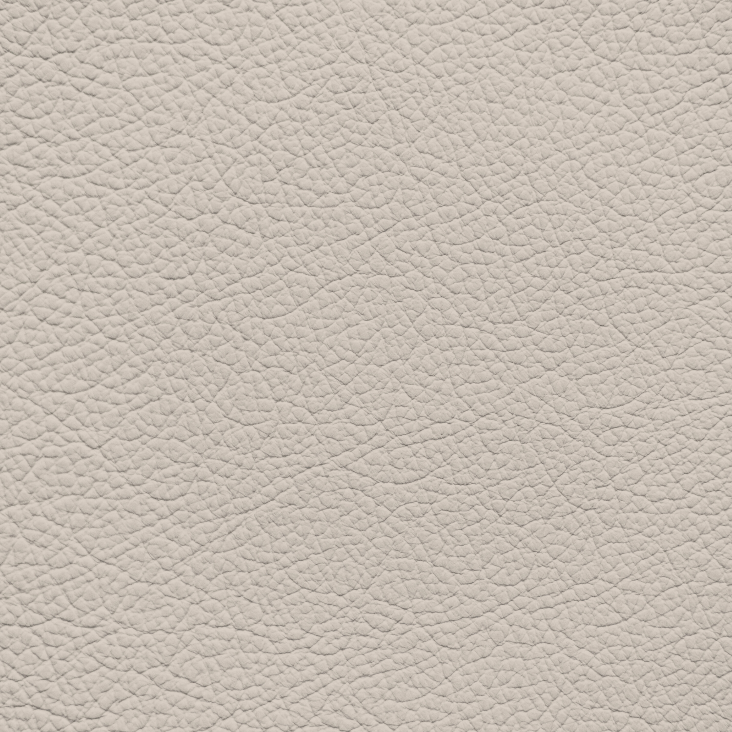 BMW Greige Leather Dye – Leather World Technologies