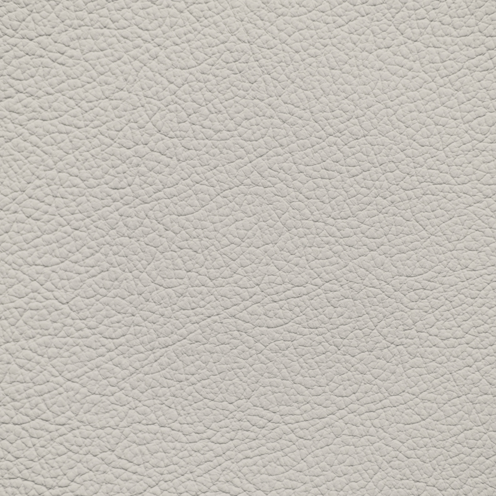 BMW Hell Gray/Hell Gray 2 Leather Dye – Leather World Technologies
