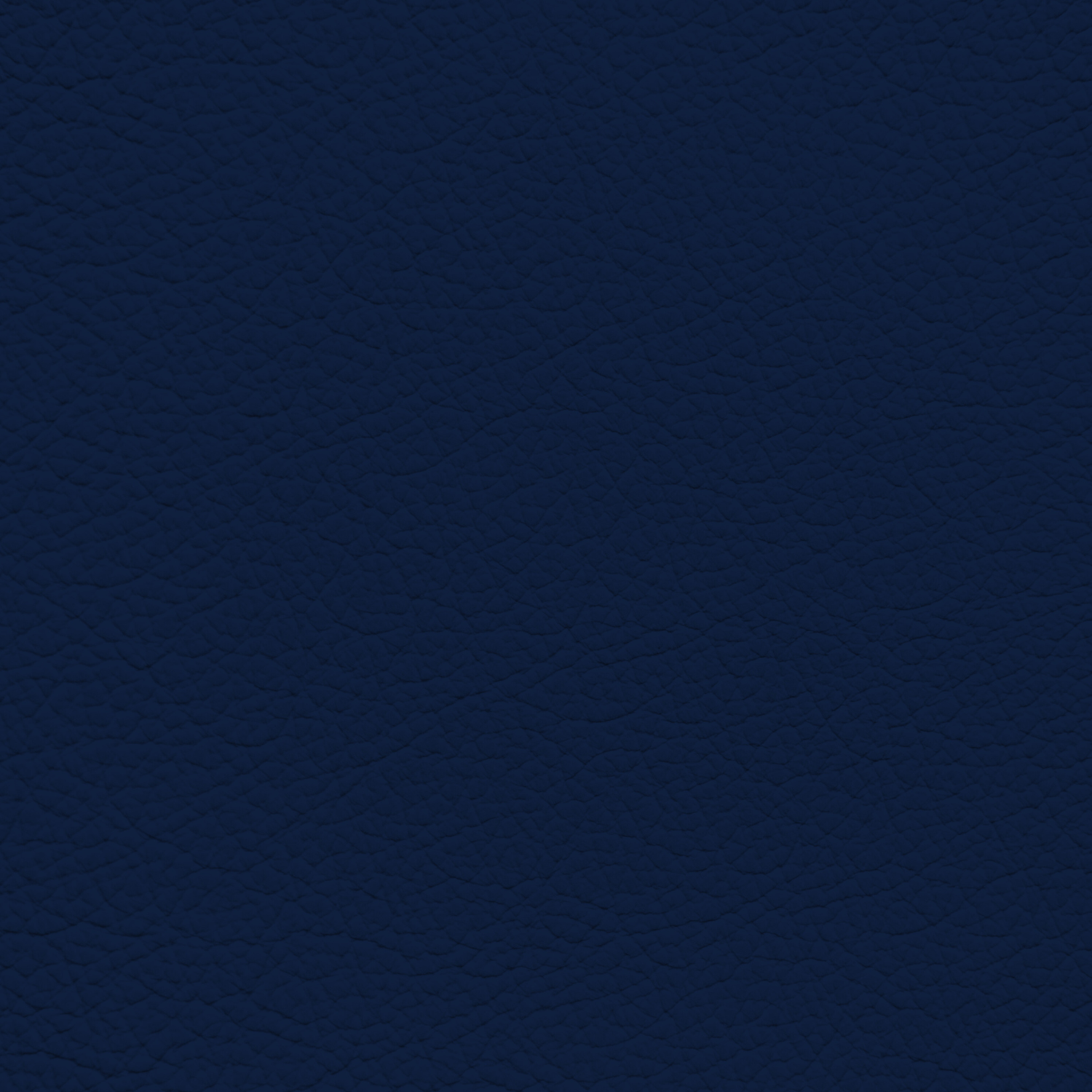 BMW Indigo Blue Leather Dye – Leather World Technologies