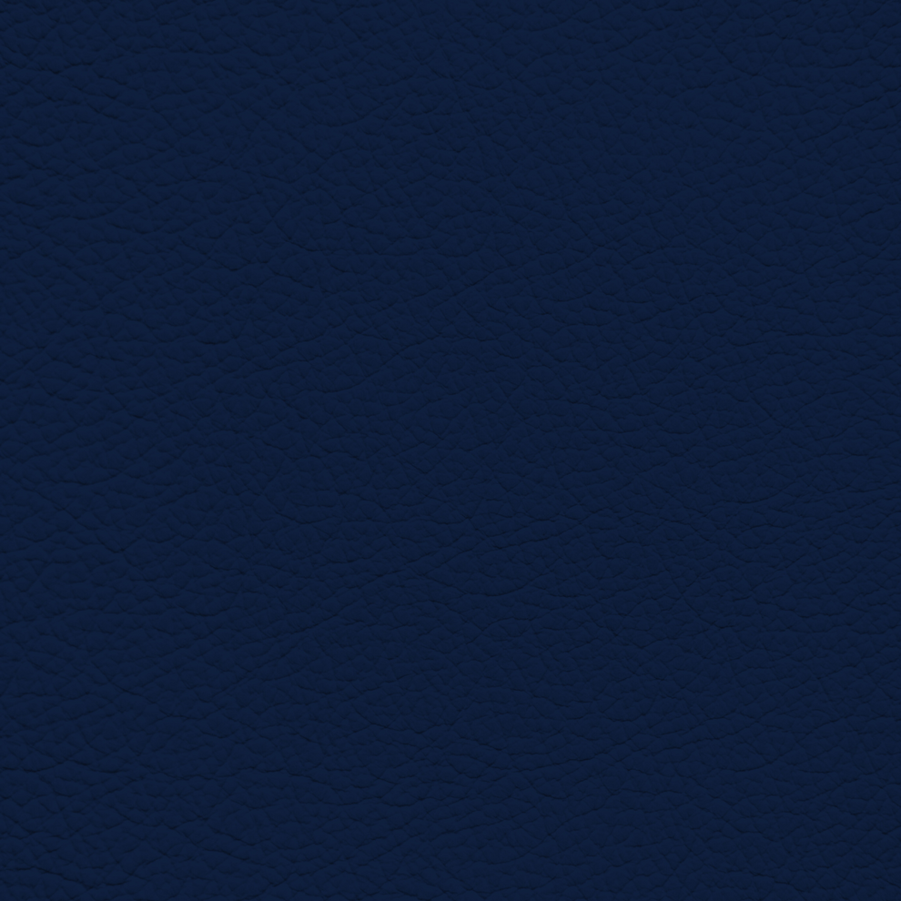 BMW Indigo Blue Leather Dye – Leather World Technologies