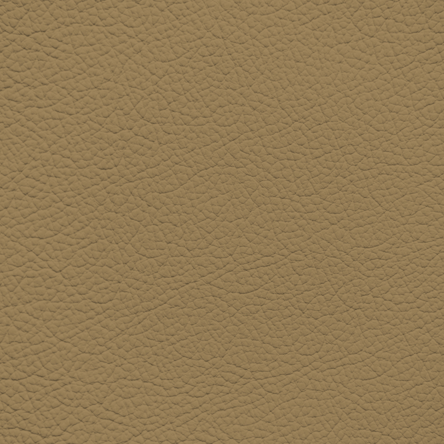 Acura/Honda Ivory Leather Dye – Leather World Technologies