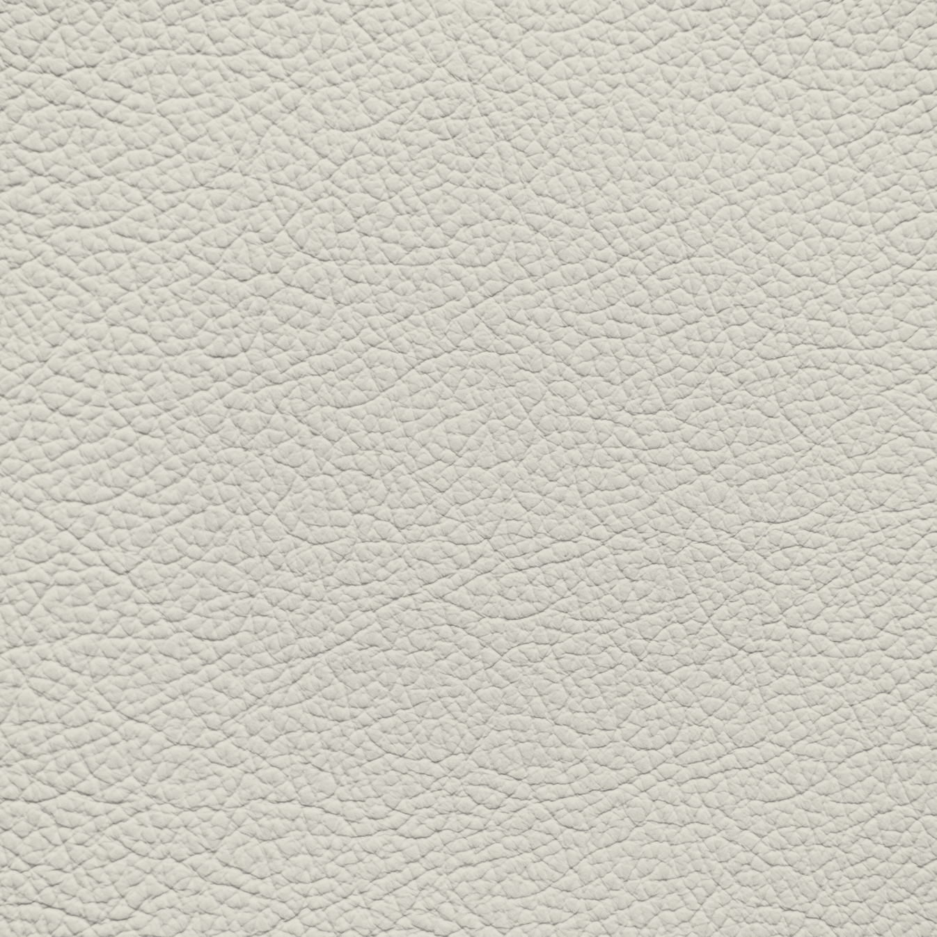 BMW Ivory White Leather Dye – Leather World Technologies