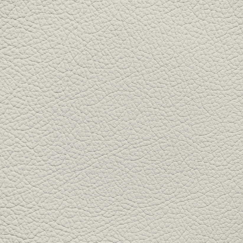 BMW Ivory White Leather Dye – Leather World Technologies