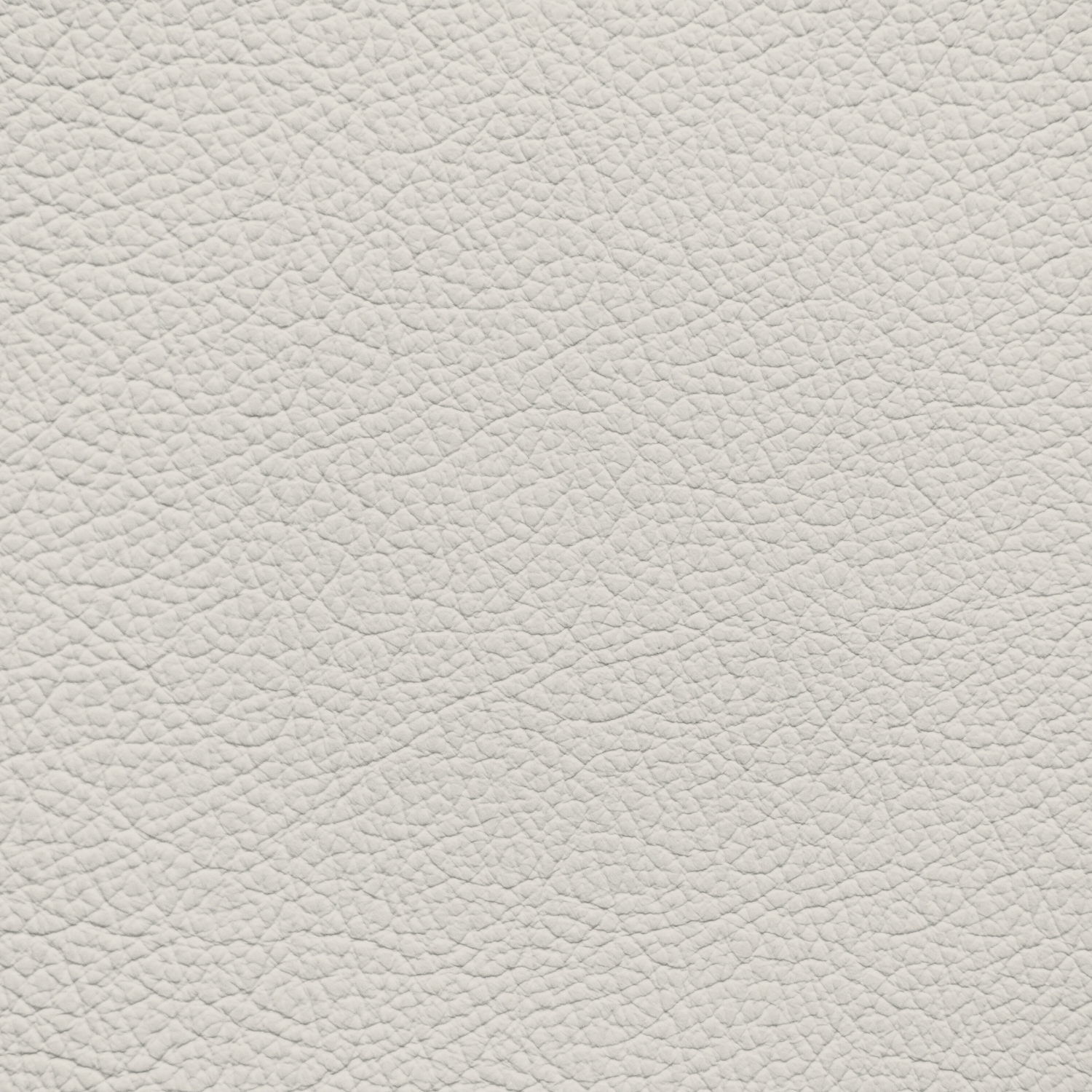 Jaguar Ivory Leather Dye – Leather World Technologies