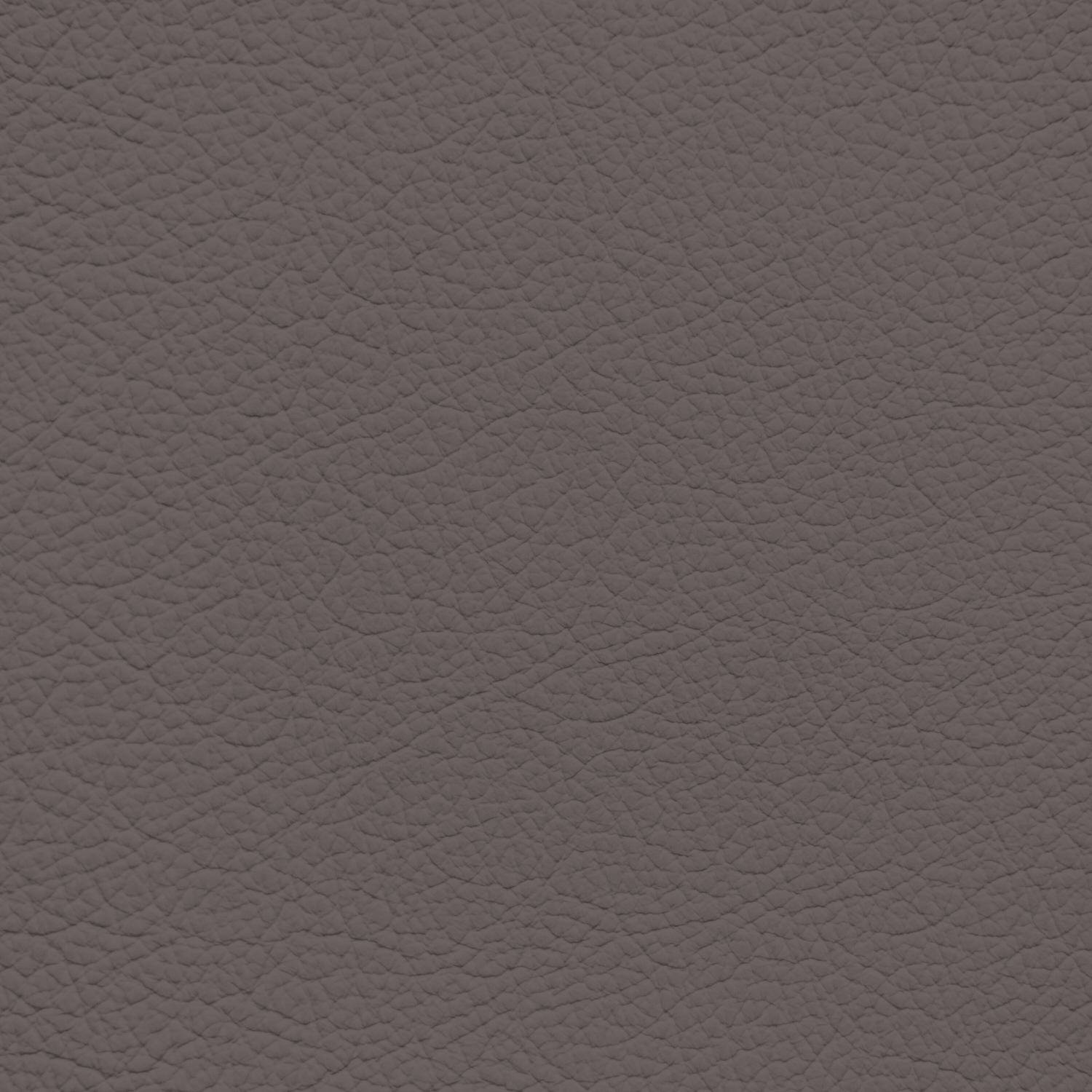 Lexus Ivory(06) Leather Dye – Leather World Technologies