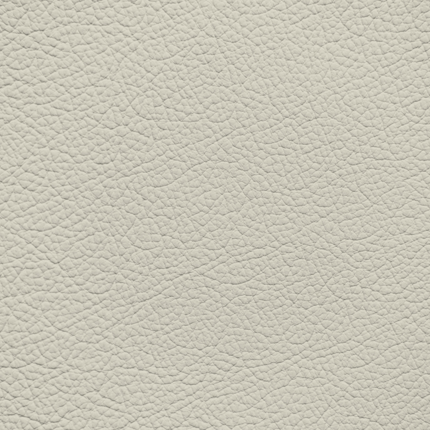 Ford/Lincoln/Mercury Ivory Leather Dye – Leather World Technologies