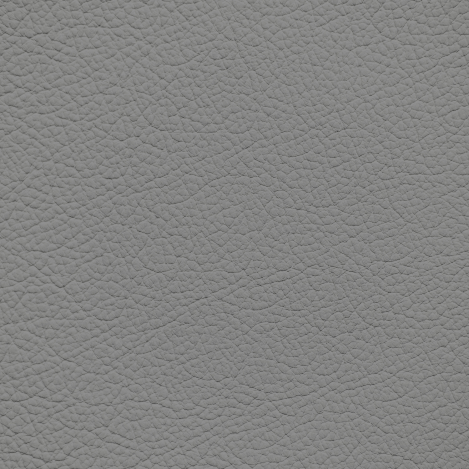 BMW Jade Gray Leather Dye – Leather World Technologies