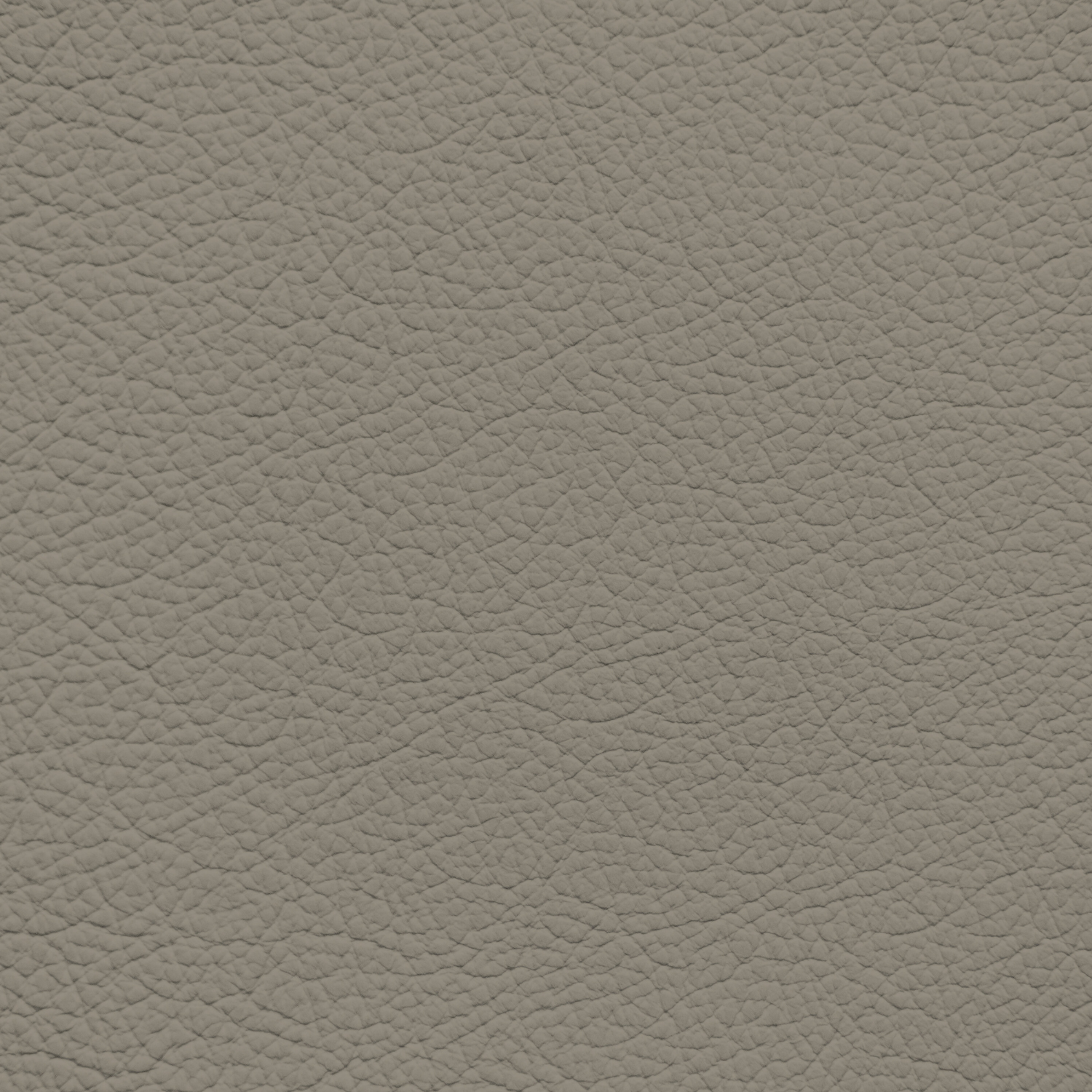 Ford/Lincoln/Mercury Light Mink Leather Dye – Leather World Technologies