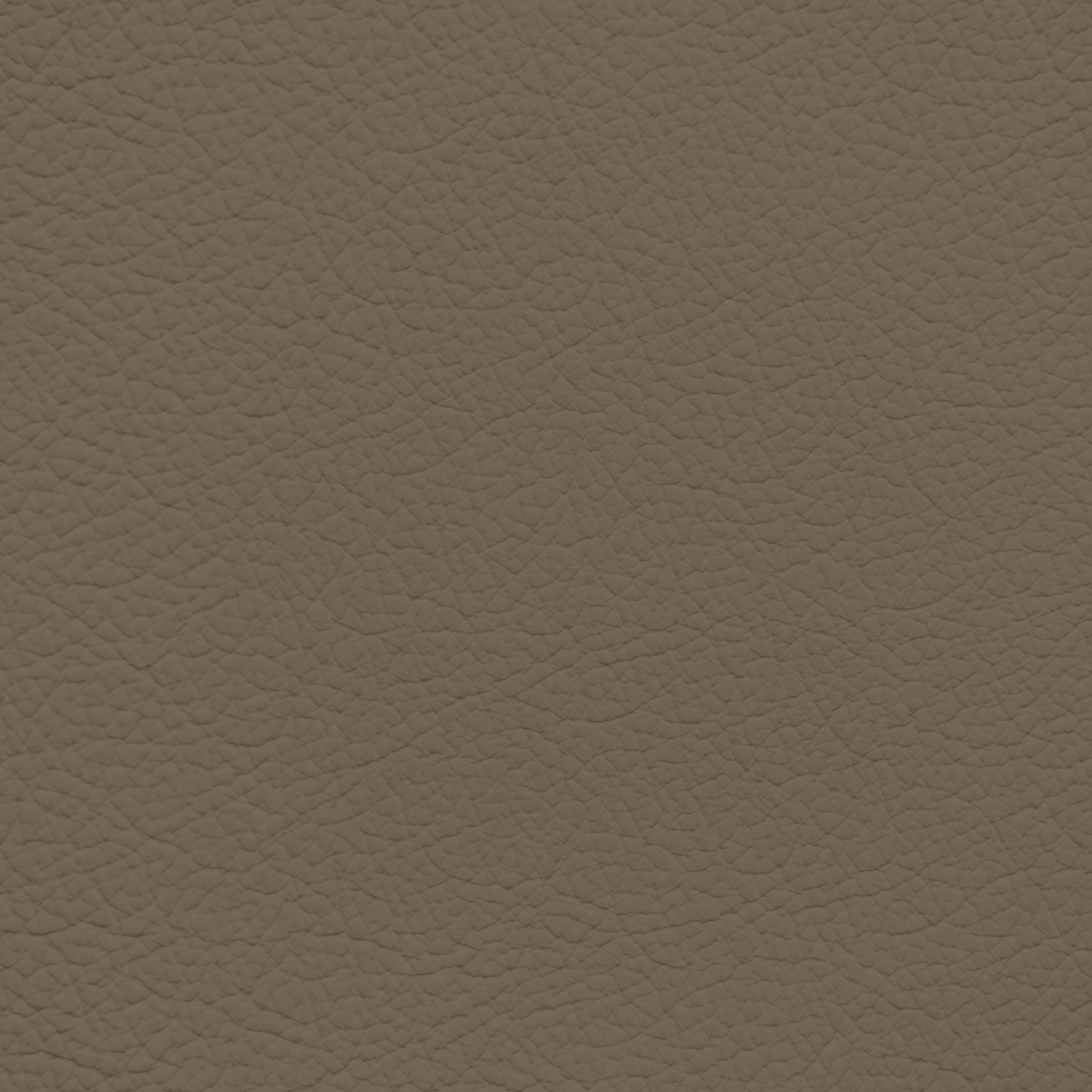 Ford/Lincoln/Mercury Light Mocha Leather Dye – Leather World Technologies