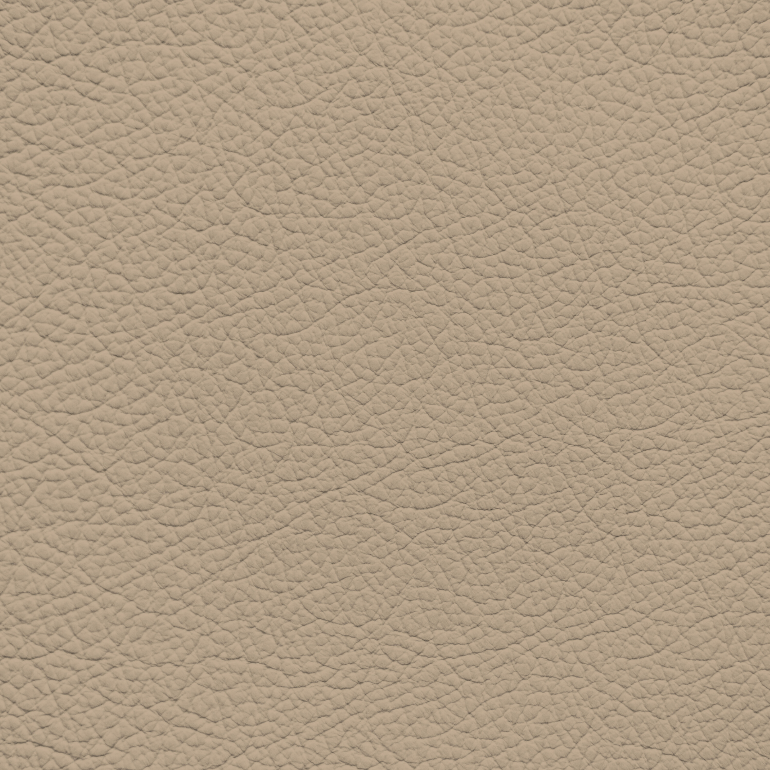 Ford/Lincoln/Mercury Light Sand Leather Dye – Leather World Technologies