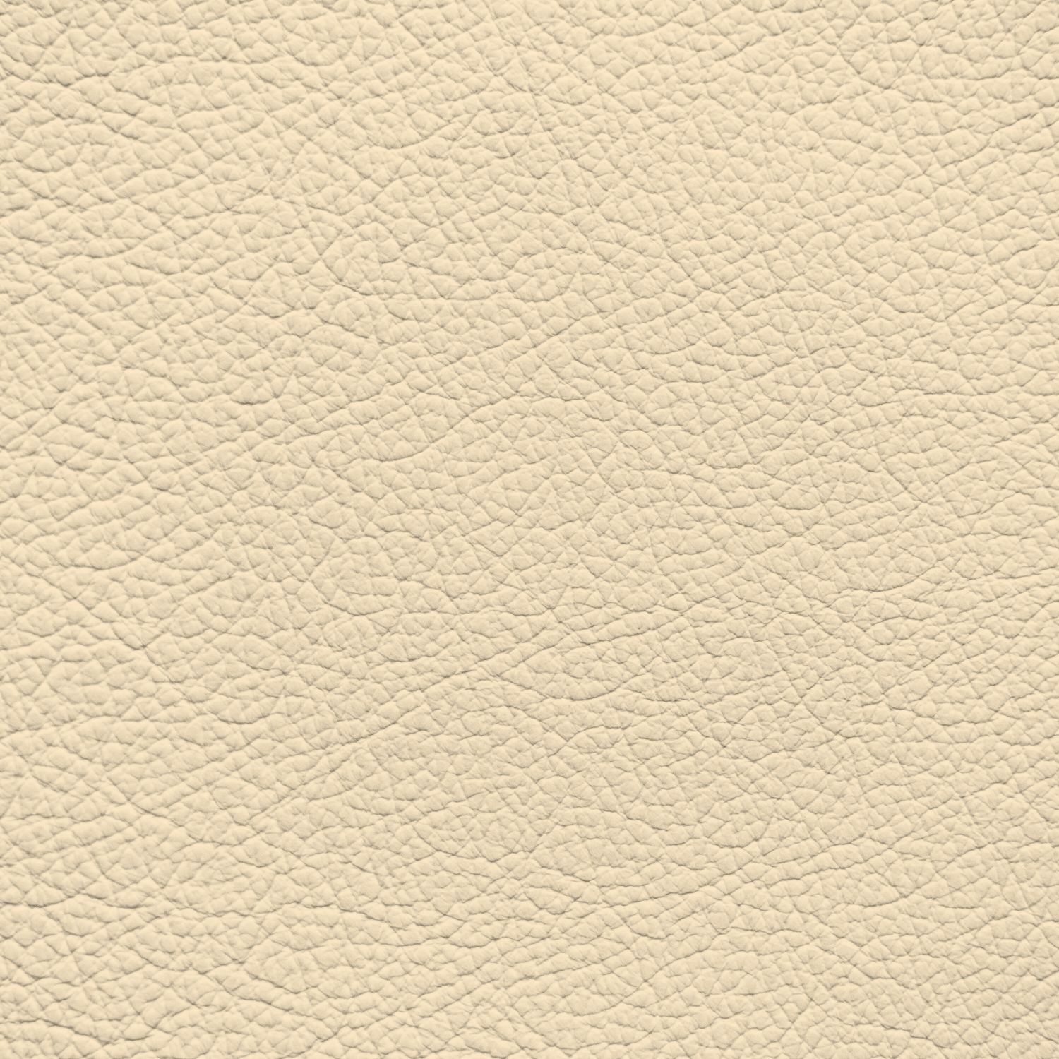BMW Light Sand Leather Dye – Leather World Technologies
