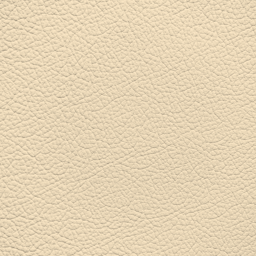 BMW Light Sand Leather Dye – Leather World Technologies