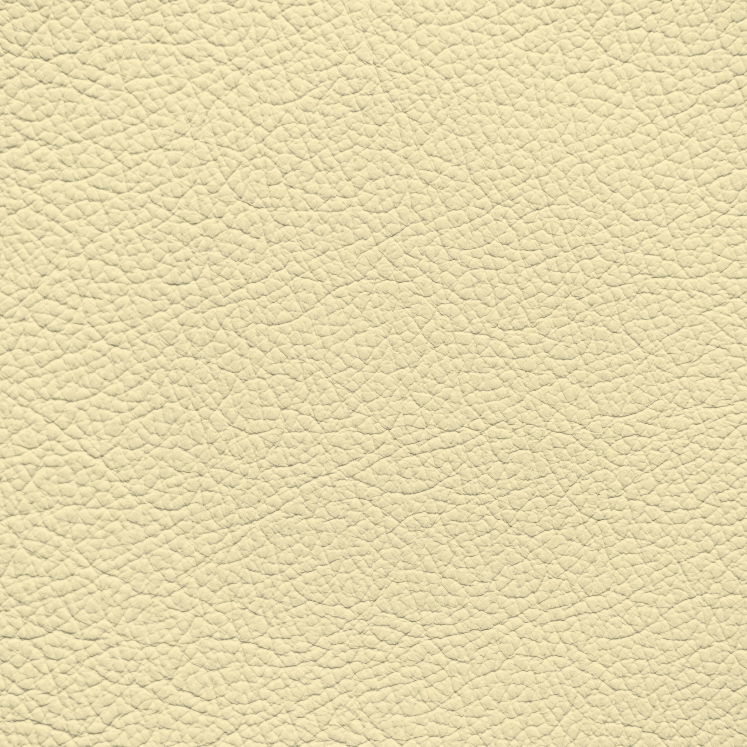 BMW Light Champagne Leather Dye – Leather World Technologies