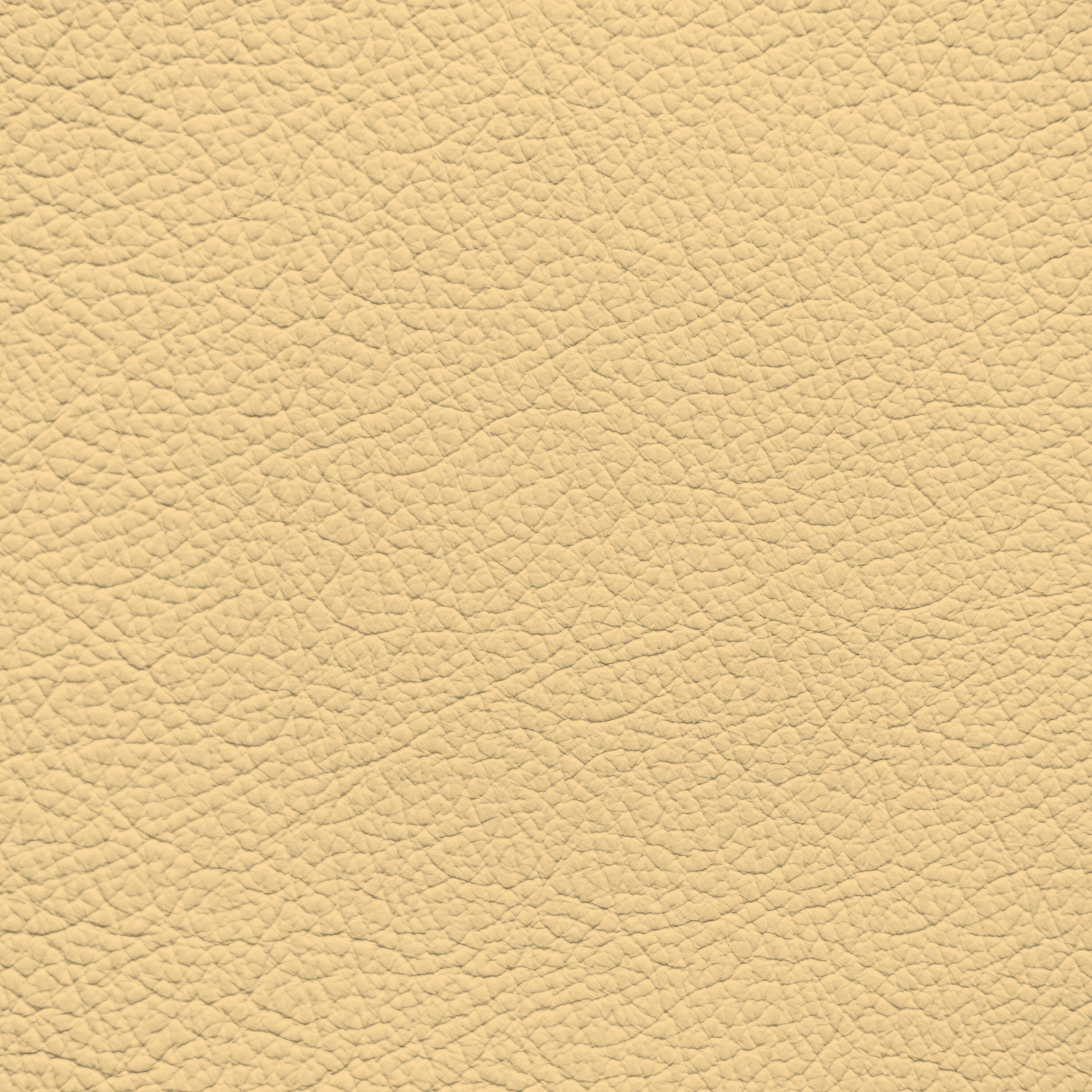 Acura/Honda Light Cream Ivory Leather Dye – Leather World Technologies