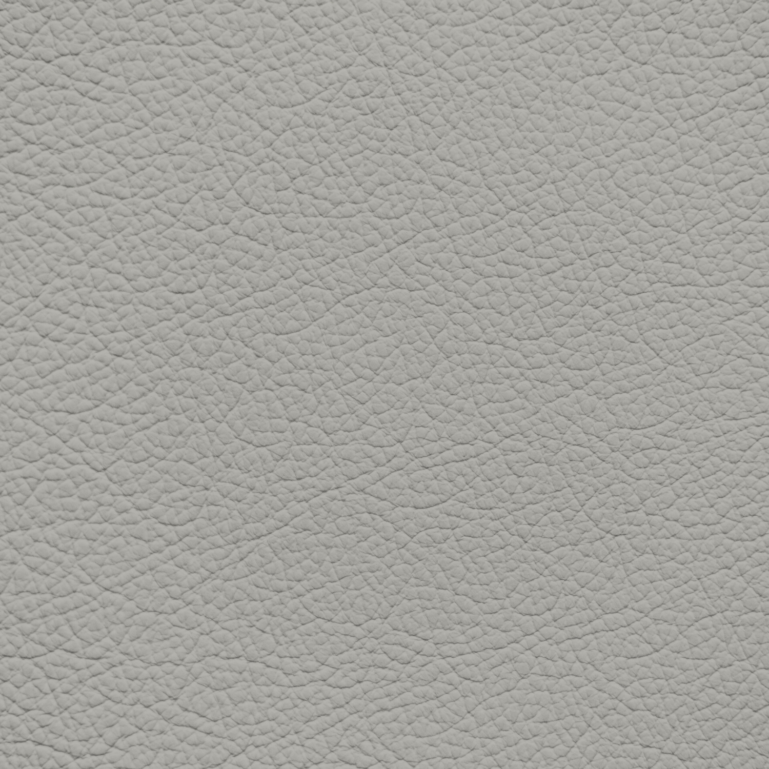 Audi Light Grey Leather Dye – Leather World Technologies