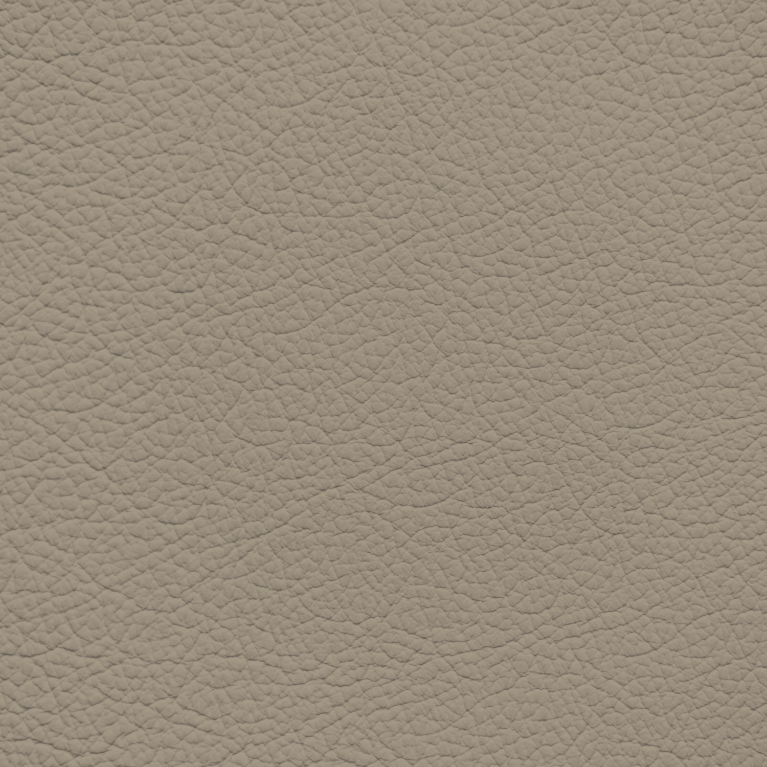 GM Light Neutral Leather Dye – Leather World Technologies