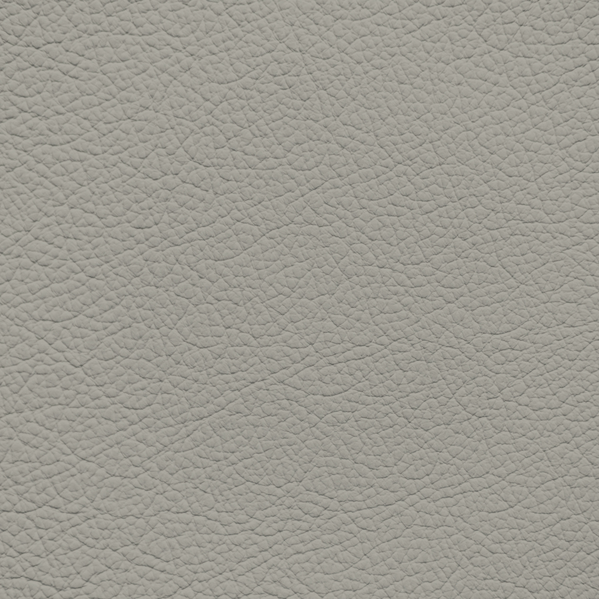 GM Light Platinum Leather Dye – Leather World Technologies
