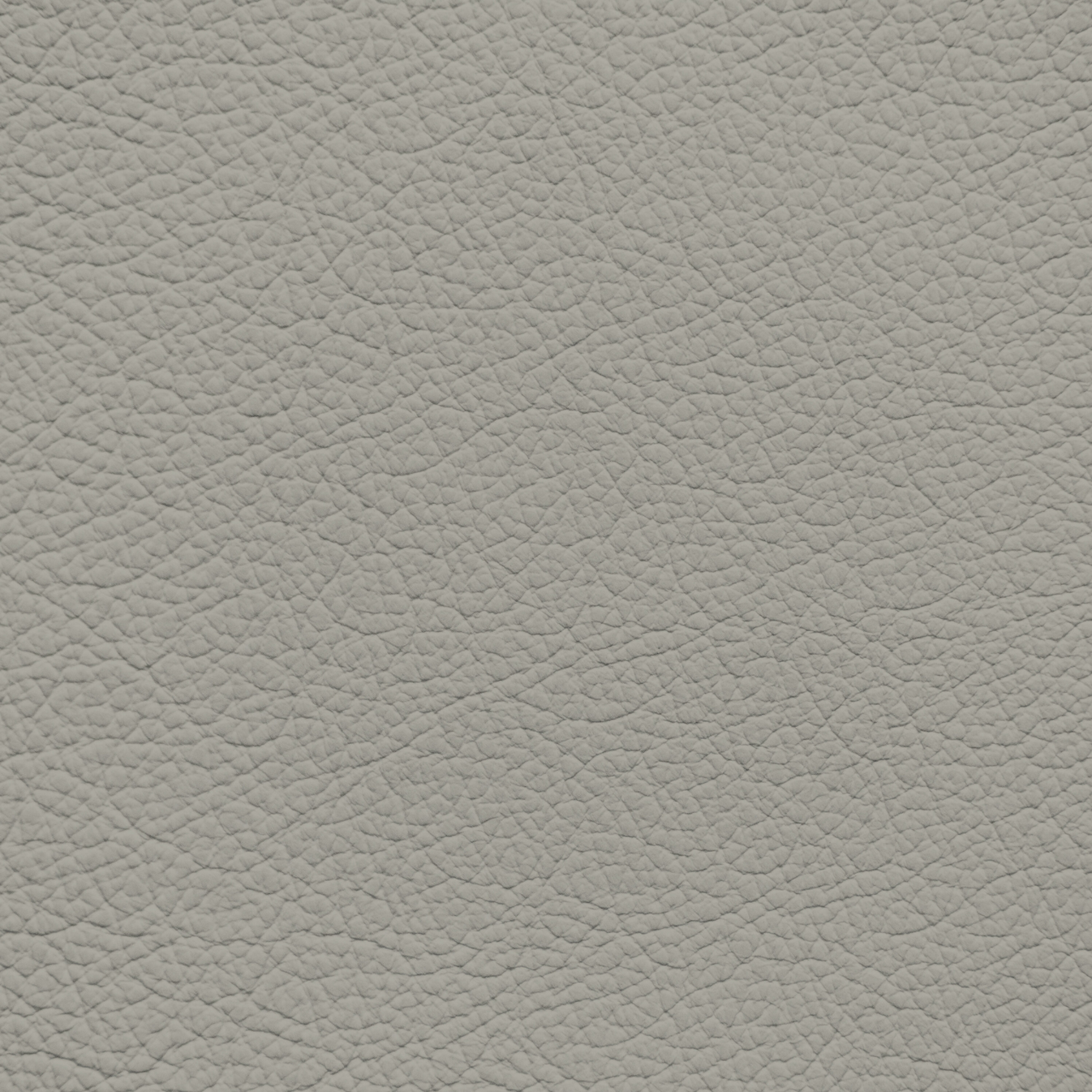 GM Light Platinum Leather Dye – Leather World Technologies