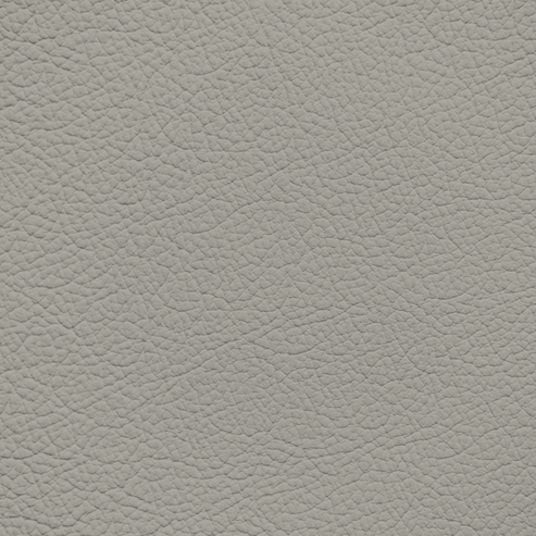 GM Light Platinum Leather Dye – Leather World Technologies