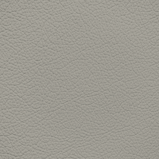 GM Light Platinum Leather Dye – Leather World Technologies