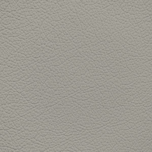GM Light Platinum Leather Dye – Leather World Technologies