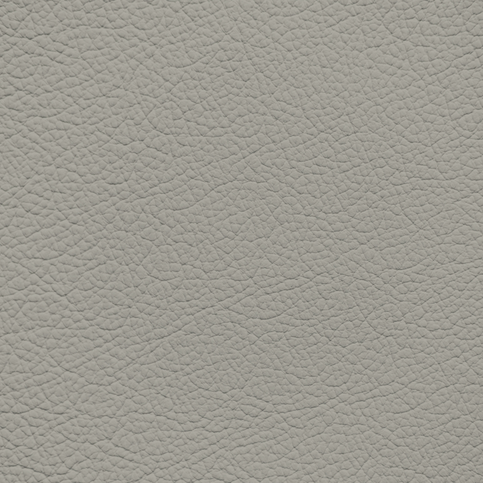 GM Light Platinum Leather Dye – Leather World Technologies