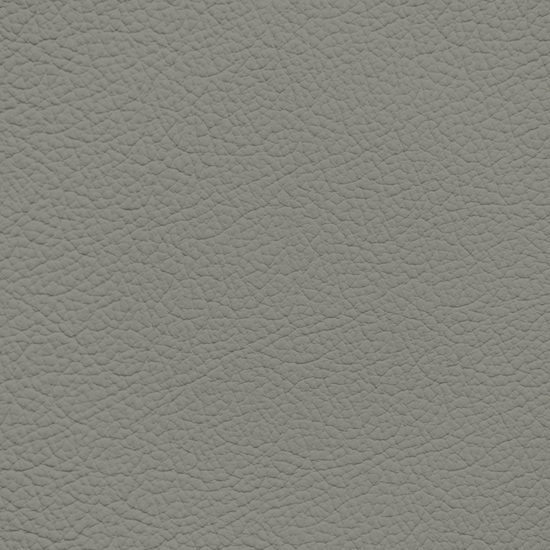 Audi Light Platinum Grey Leather Dye – Leather World Technologies