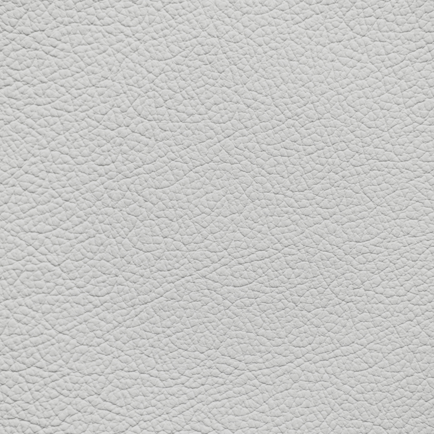 BMW Light Silver Gray Leather Dye – Leather World Technologies