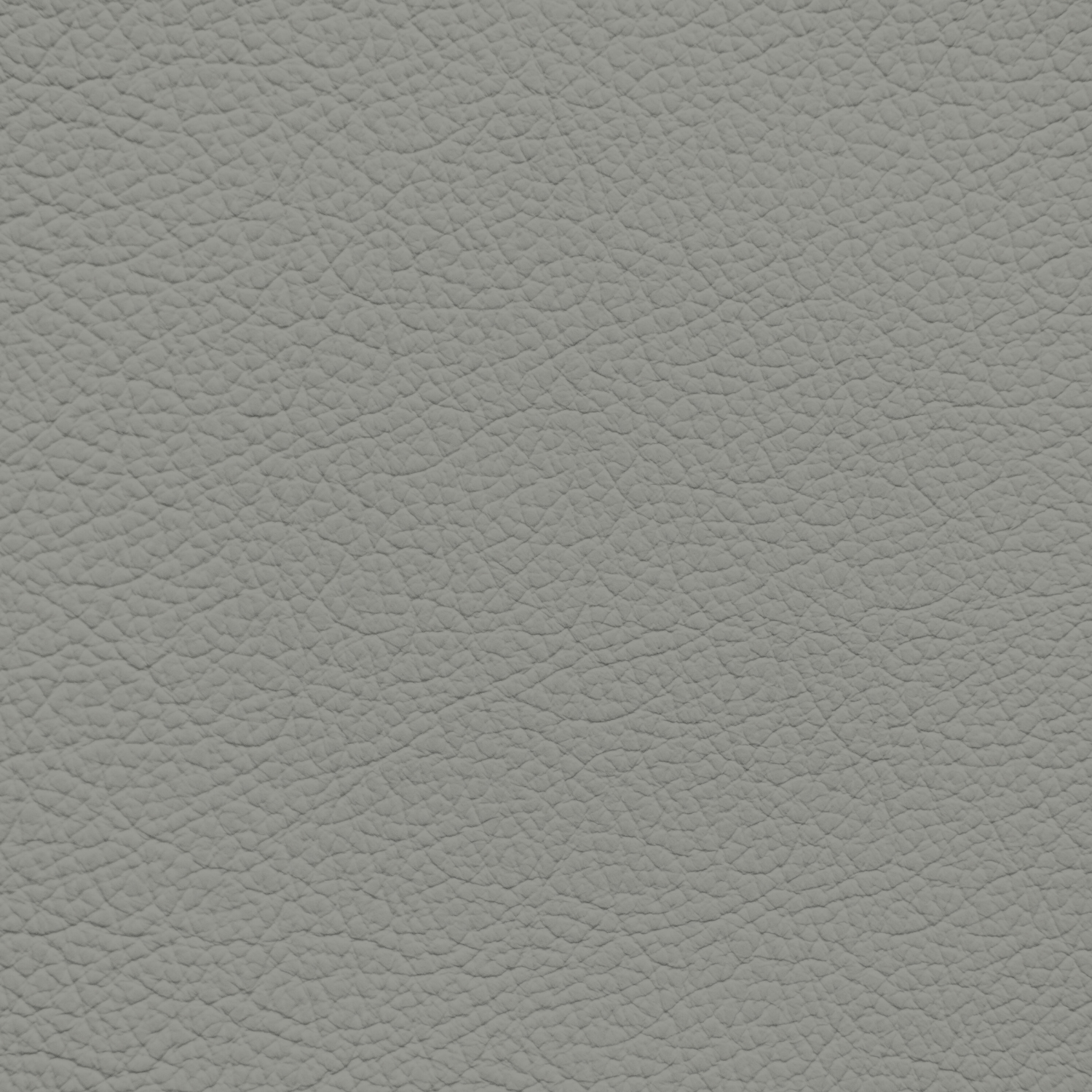 GM Light Titanium Leather Dye – Leather World Technologies