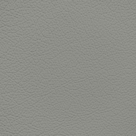 GM Light Titanium Leather Dye – Leather World Technologies