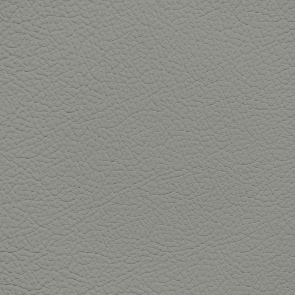 GM Light Titanium Leather Dye – Leather World Technologies