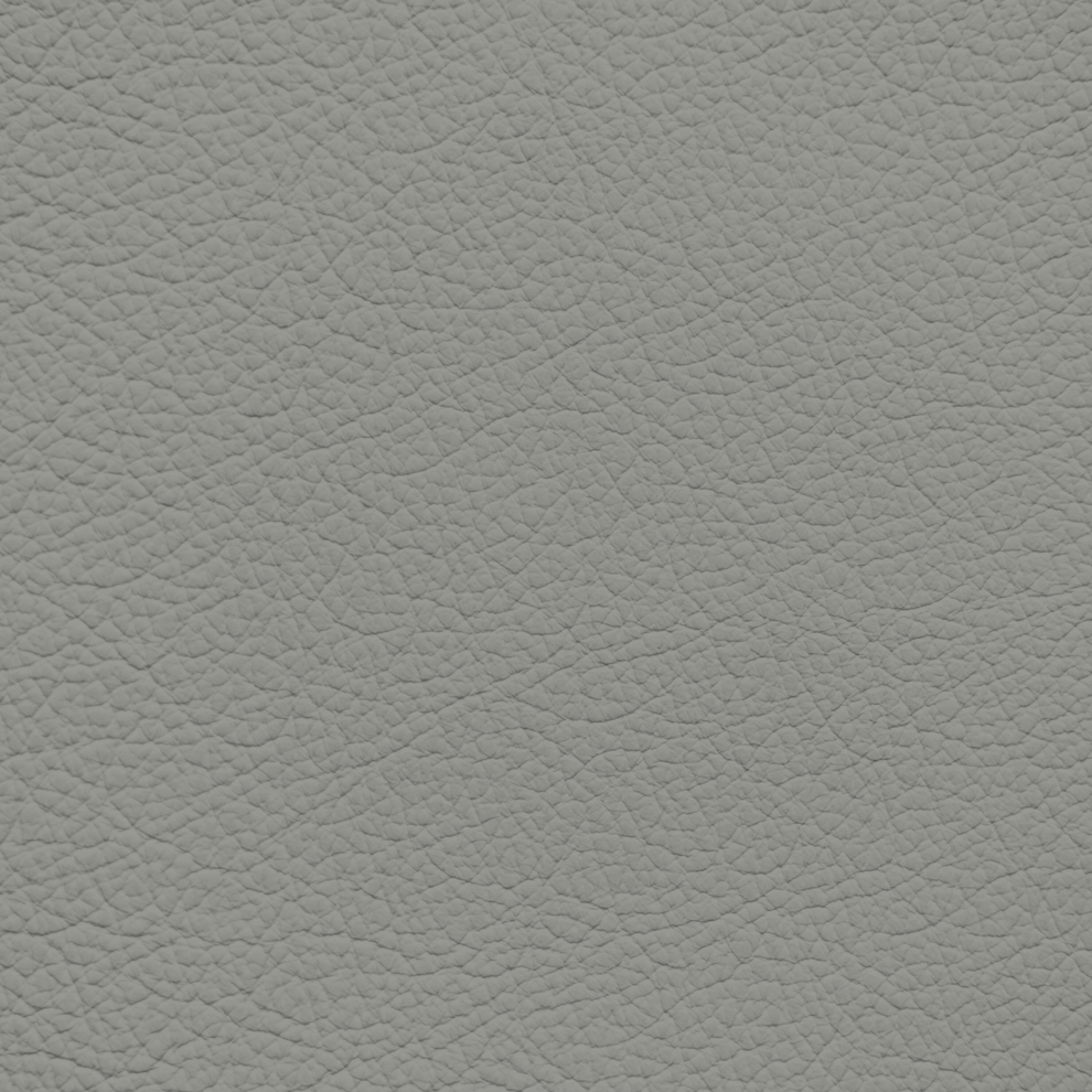 GM Light Titanium Leather Dye – Leather World Technologies