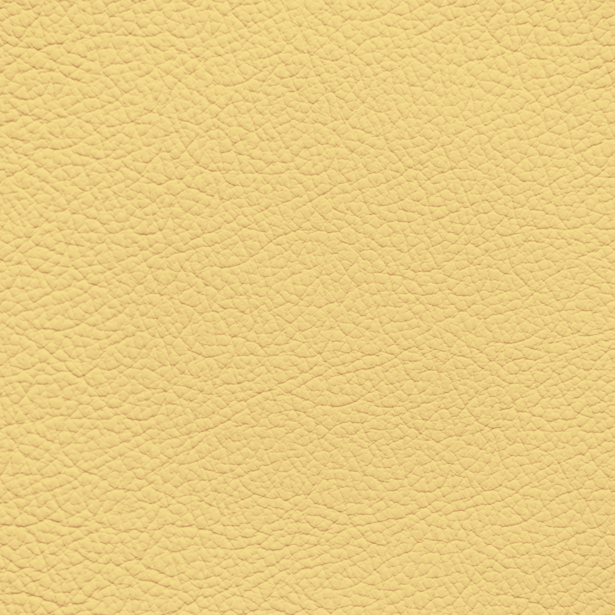 BMW Light Yellow Leather Dye – Leather World Technologies