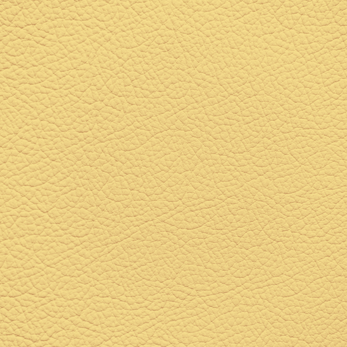 BMW Light Yellow Leather Dye – Leather World Technologies