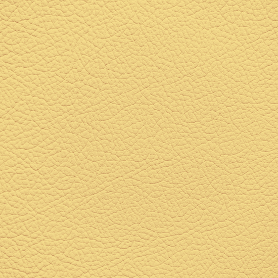 BMW Light Yellow Leather Dye – Leather World Technologies