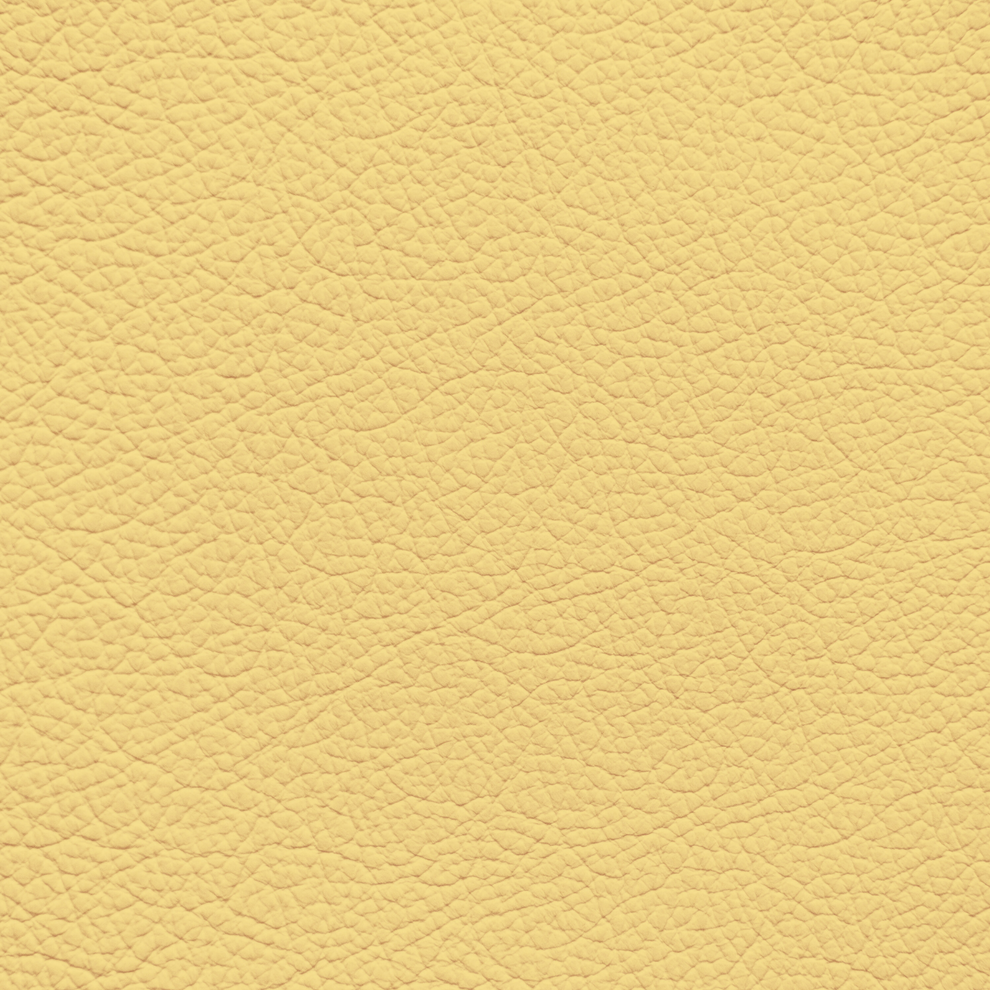 BMW Light Yellow Leather Dye – Leather World Technologies