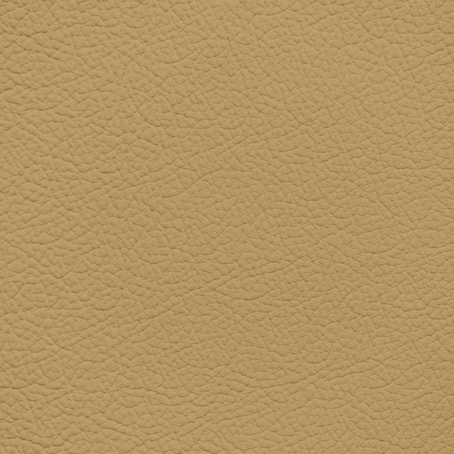Porsche Luxor Beige Leather Dye – Leather World Technologies